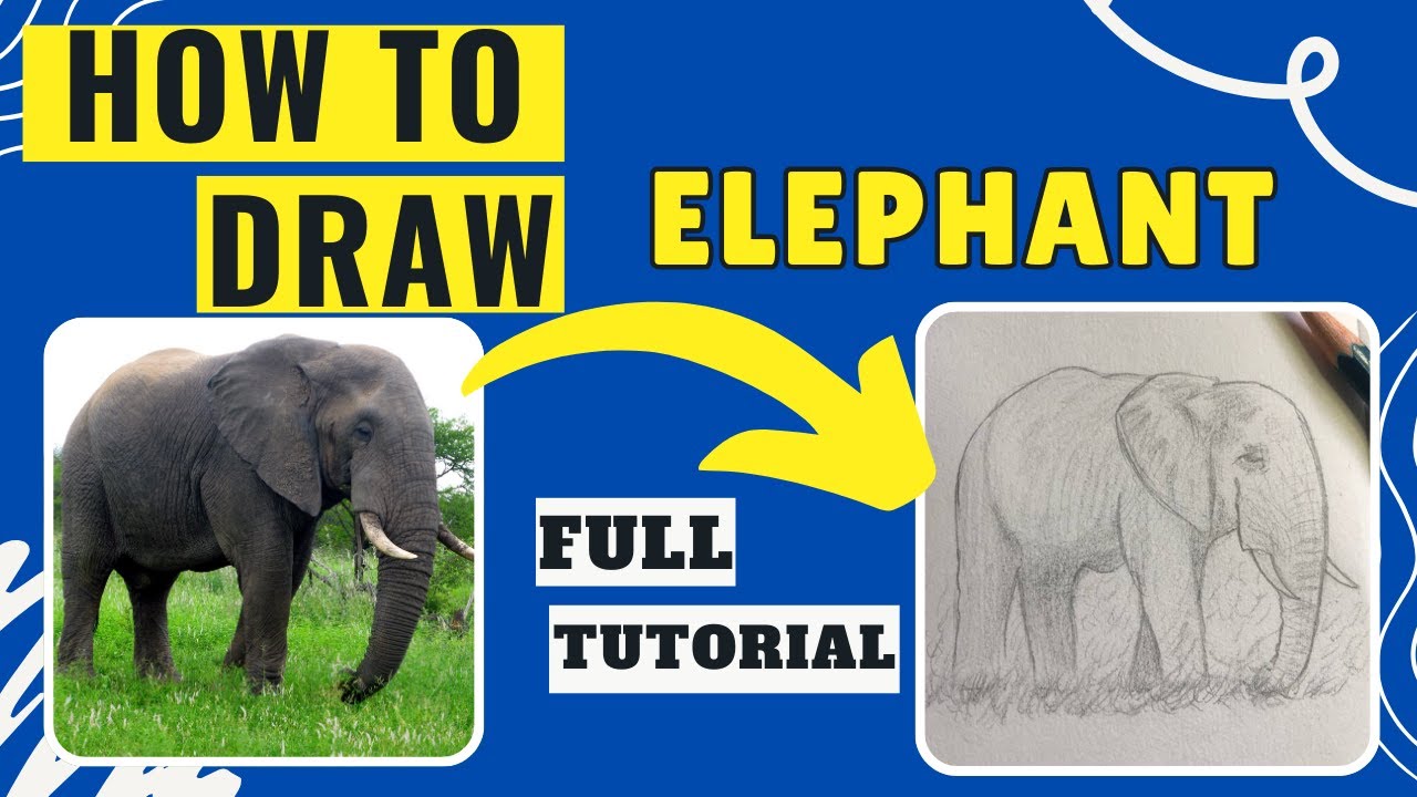 How to Draw Elephant 🐘 ASMR Drawing 🔊 FULL TUTORIAL - YouTube