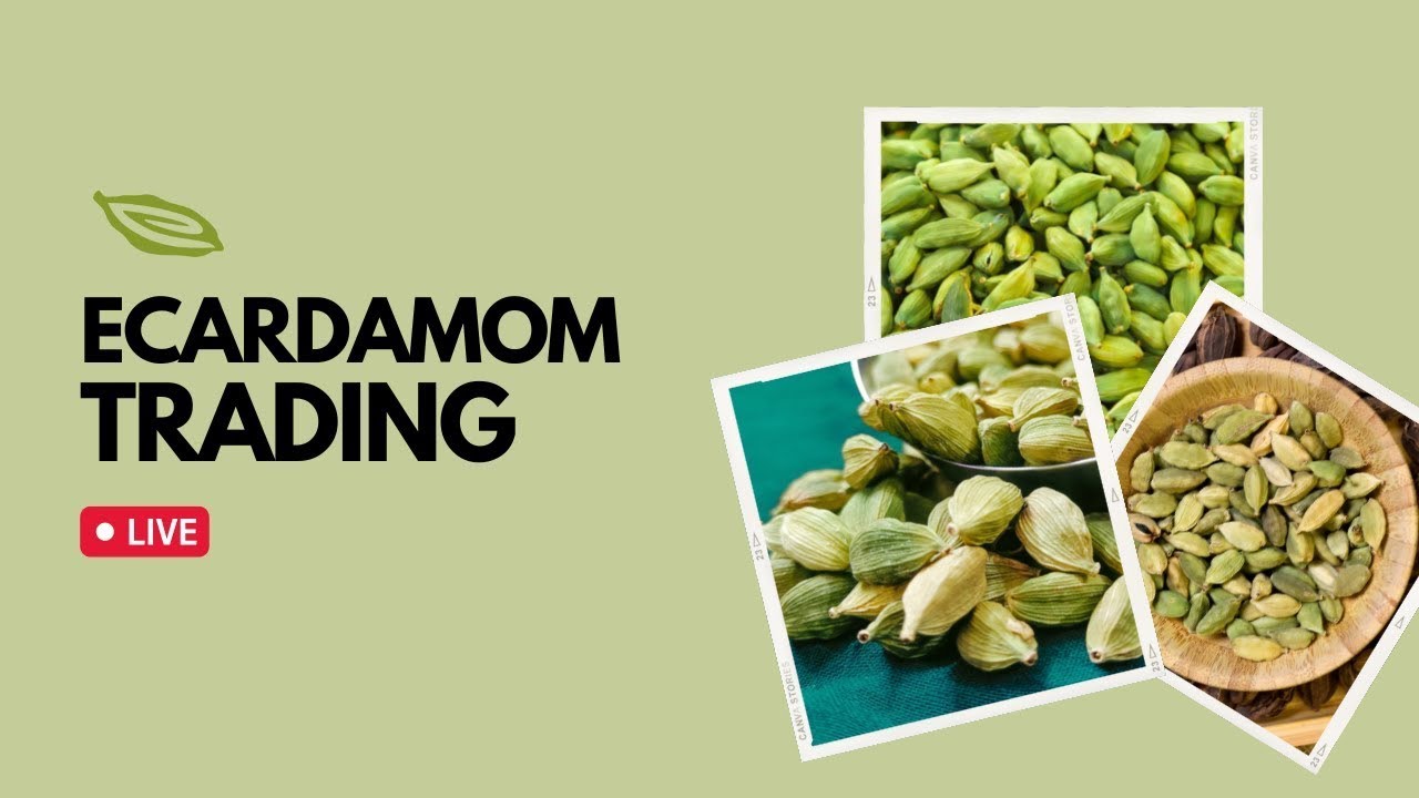 e CARDAMOM LIVE CARDAMOM TRADING 12/May/2023 (Powered by www ...