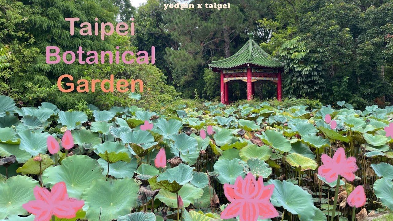 TAIWAN VLOG 🐲 Taipei Botanical Garden | เที่ยวไต้หวัน 台北一日 🌲 - YouTube