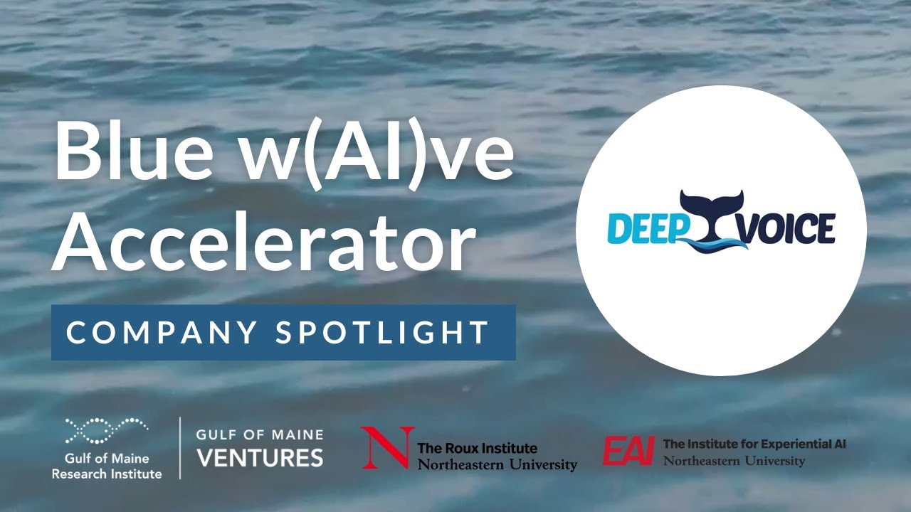 Deep Voice: Blue w(AI)ve Accelerator Company Spotlight - YouTube
