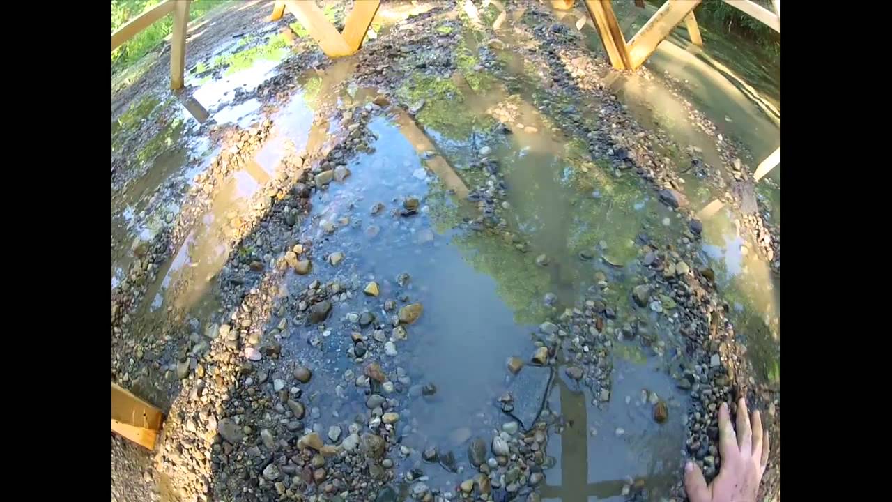 The Ron Project Trailer - YouTube