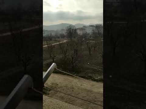 BALKONDAN BAKMAKTA YASAK