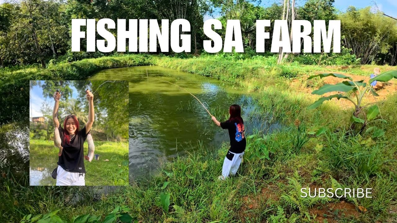 Alagang isda sa farm | Norme Garcia - YouTube
