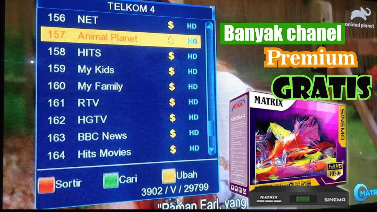 Keren Chanel-Chanel GRATIS di Receiver MATRIX SINEMA - YouTube