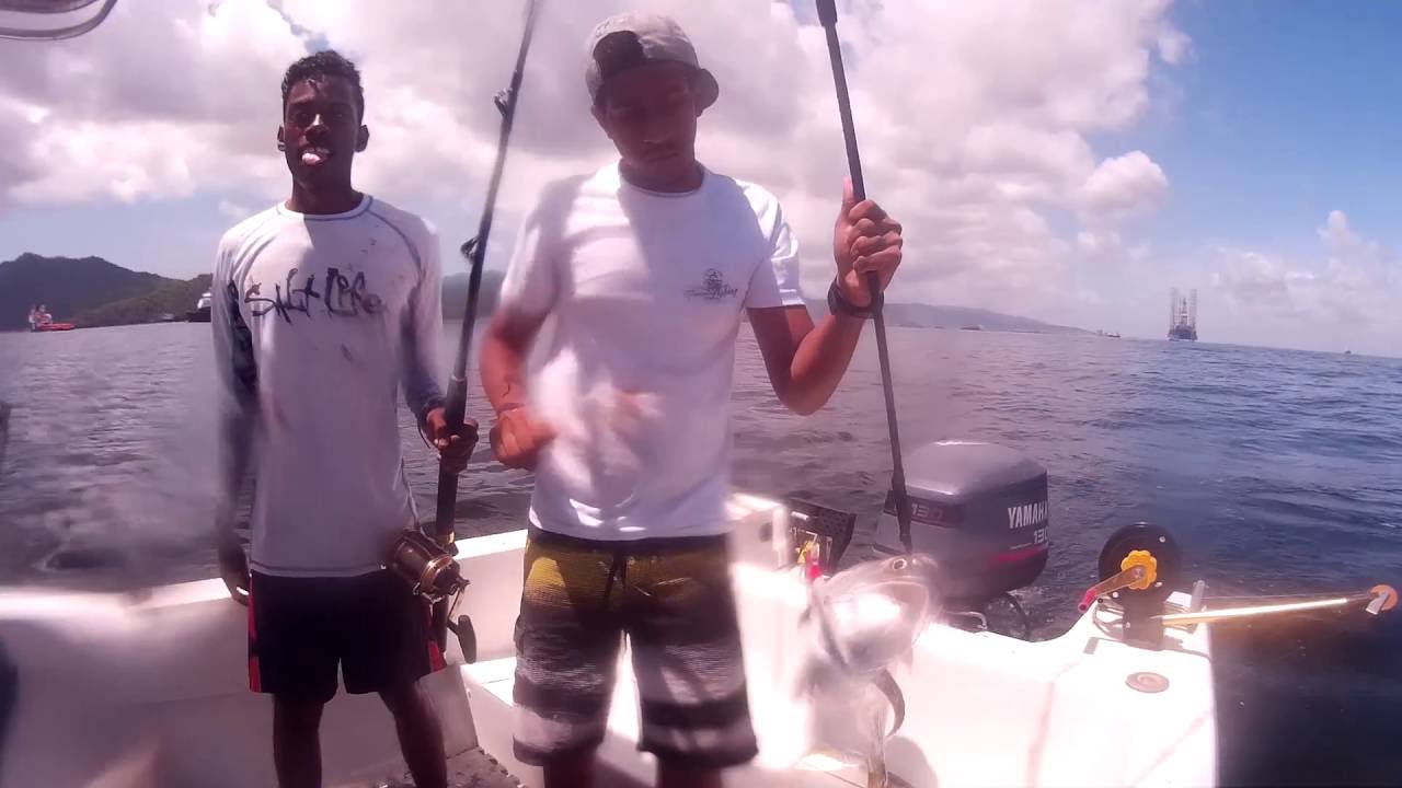Cavalli and Tarpon Fishing - Trinidad Fishing [HD] - YouTube