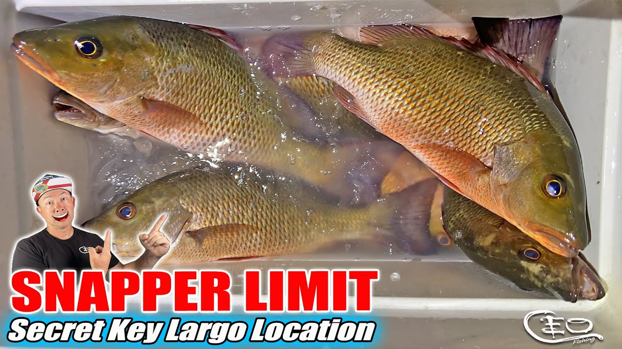 SNAPPER LIMIT in SECRET Key Largo Location in Florida Keys - YouTube