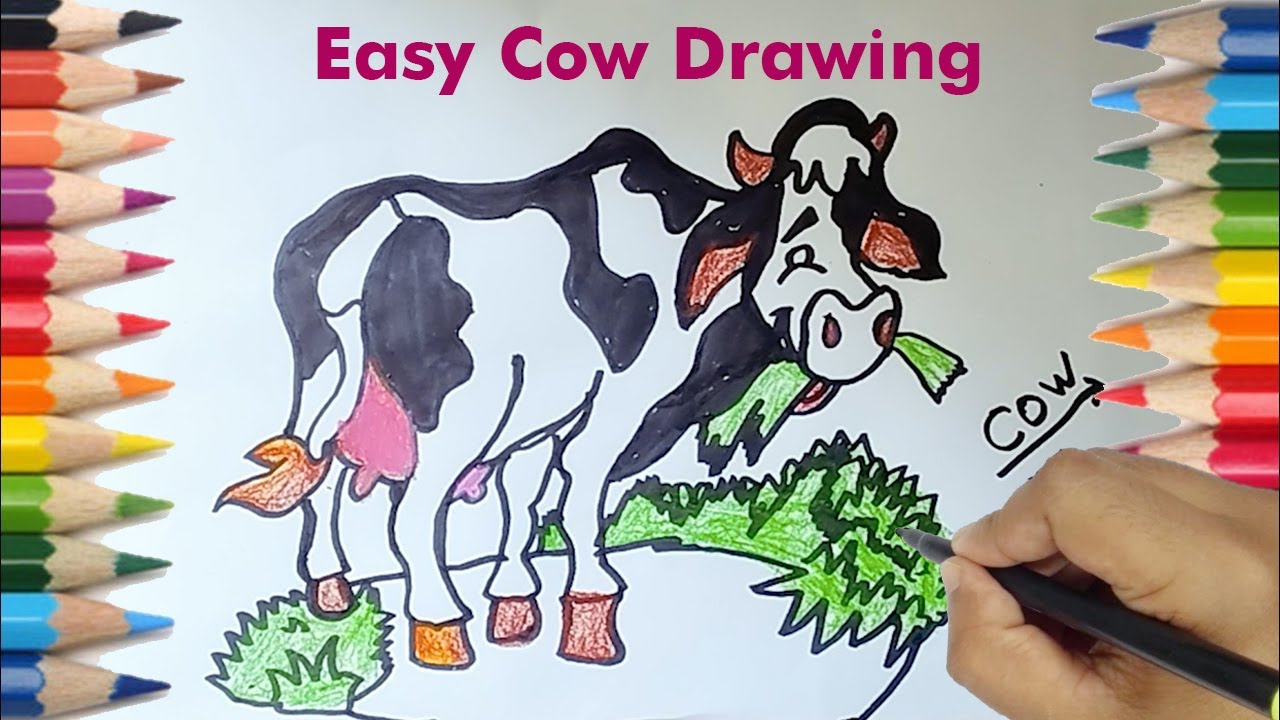 How to draw a cow step by step|| Cow Drawing || - YouTube