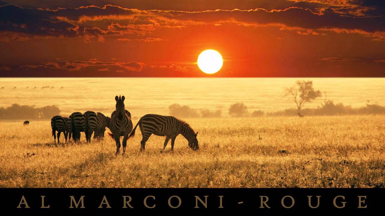 Al Marconi - ROUGE - YouTube