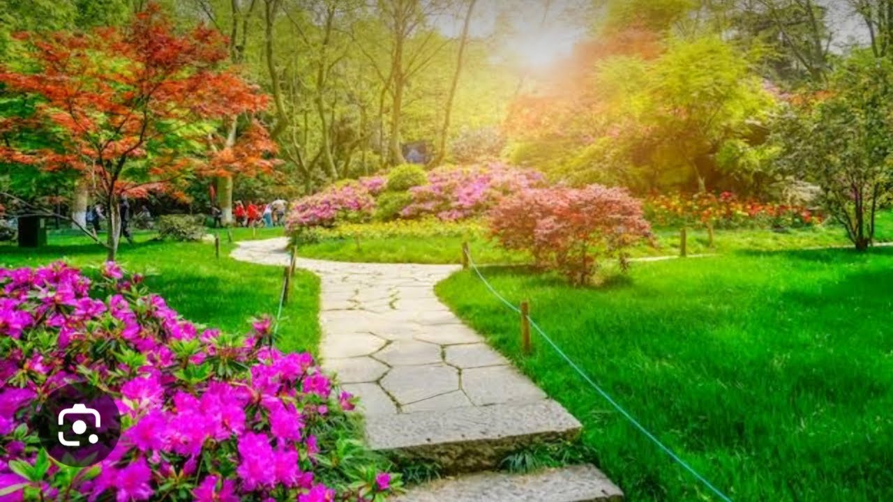 Park of cute flowers!baby Nathan enjoying with flowers!evening vibes ...