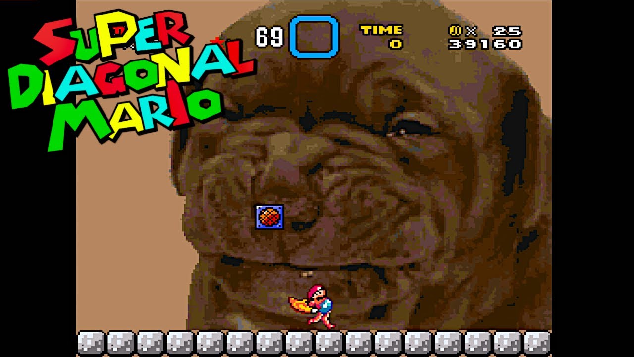 There Are No Memes Here So Play With The Dog! - Super Diagonal Mario 2 ...