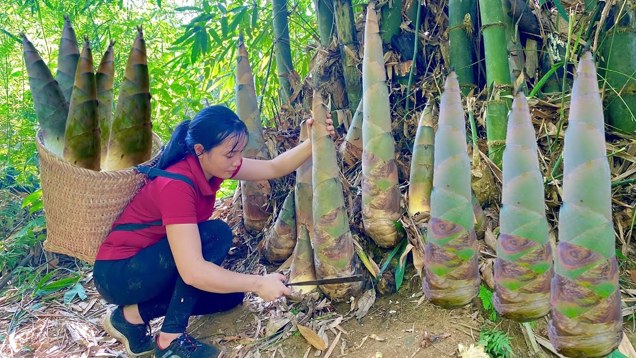 FULL VIDEO: 60 Days Harvest fireballs fruit, Pumpkins, giant bamboo ...