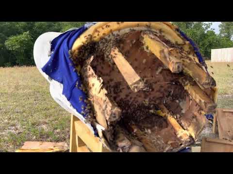 What Is A Beehive Chair