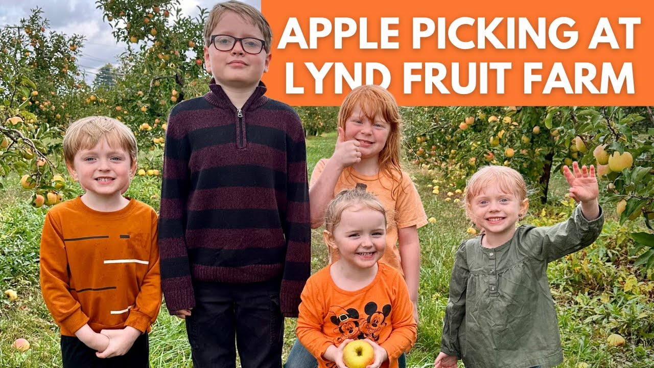 Apple Picking at Lynd Fruit Farm- Pataskala, OH - YouTube
