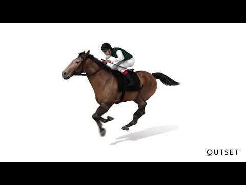 Racing App  - 3D Horse Animations