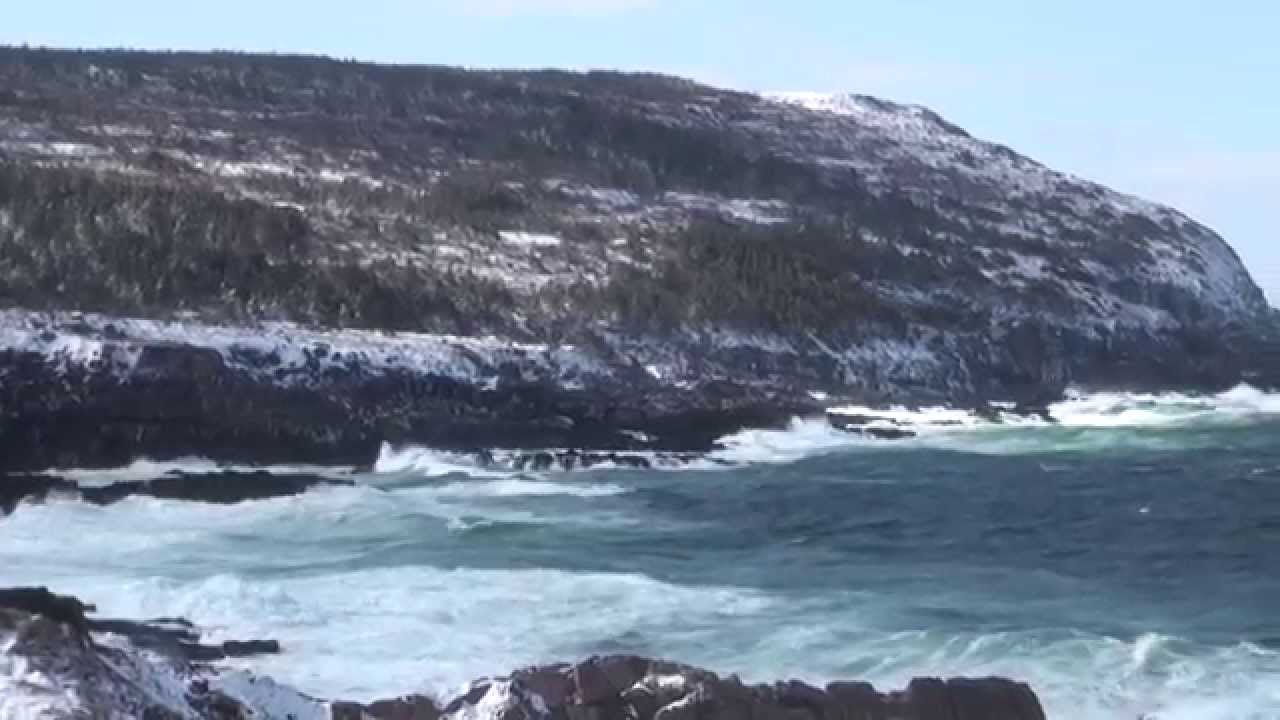 NewFoundland Nature - YouTube