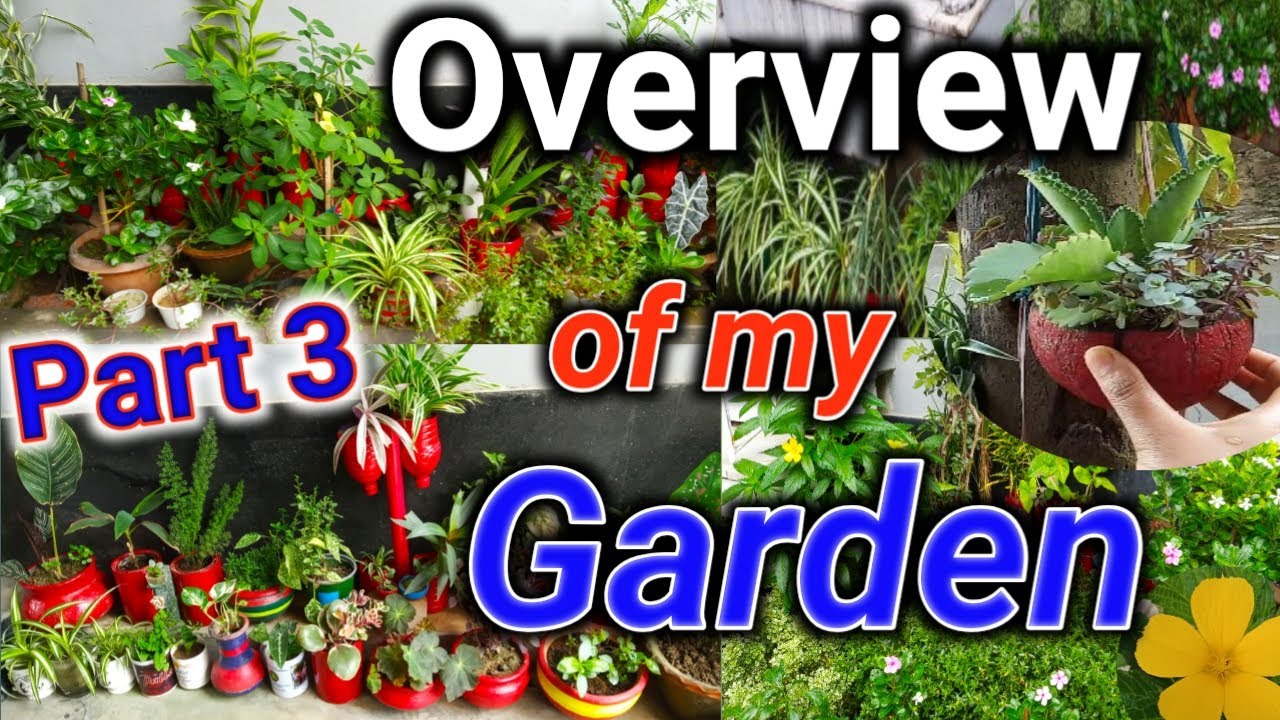 15-Garden overview |garden view video | garden overview india |garden ...