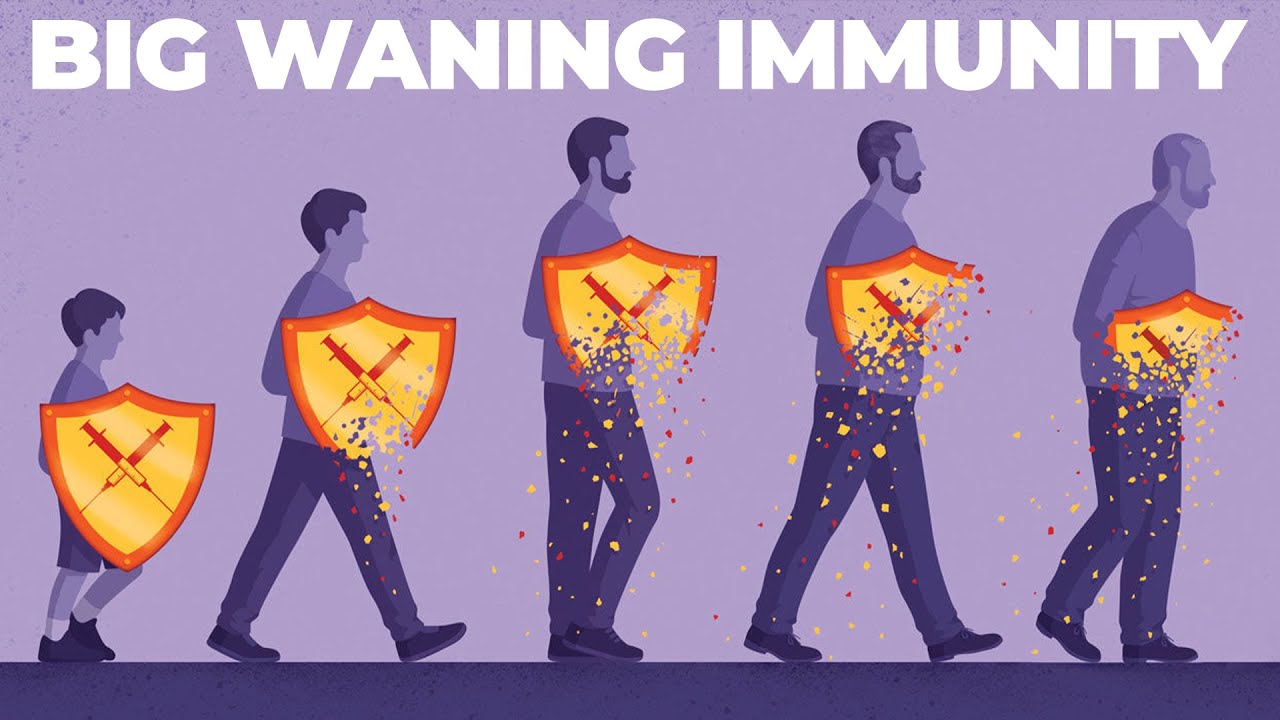 Was Alex Berenson Right On Joe Rogan?! What Is Happening With Waning ...