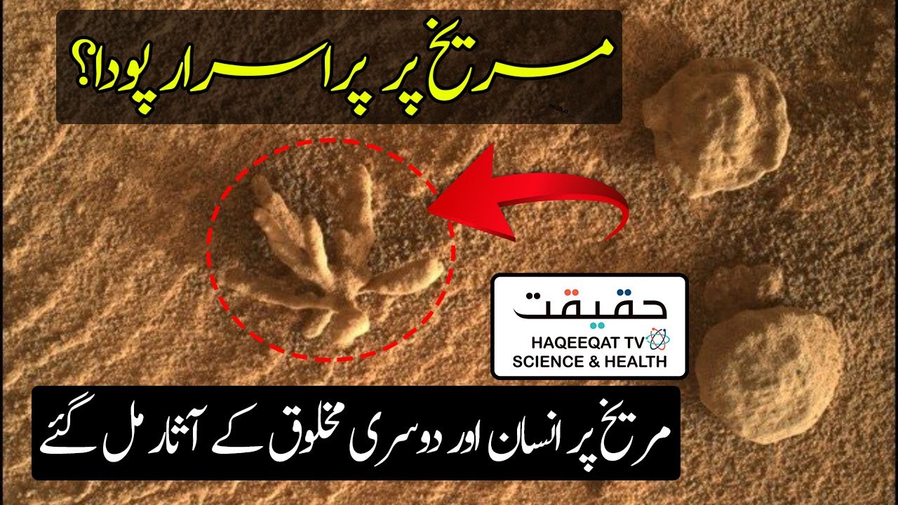 Signs of Life Found on Mars as Scientists are Near to Revolution - YouTube