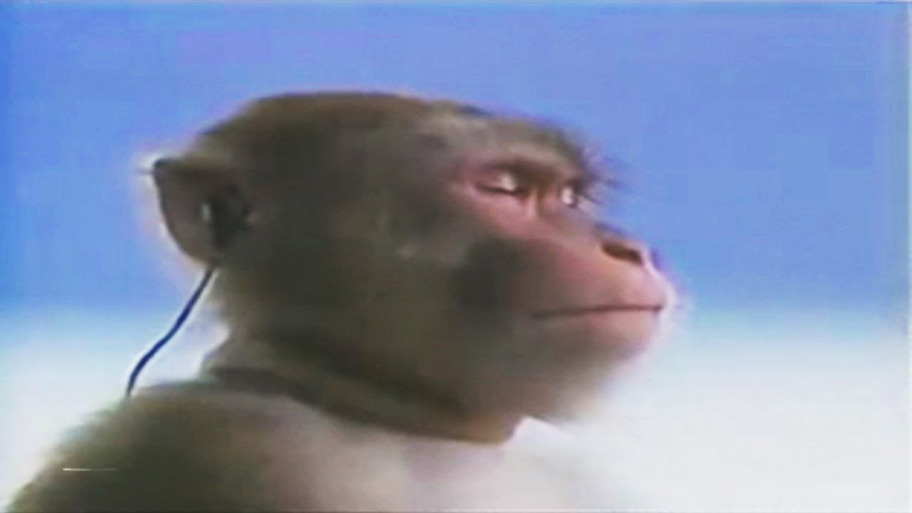 TF2 MONKEY WITH ROCKET JUMP WALTZ THEME - YouTube