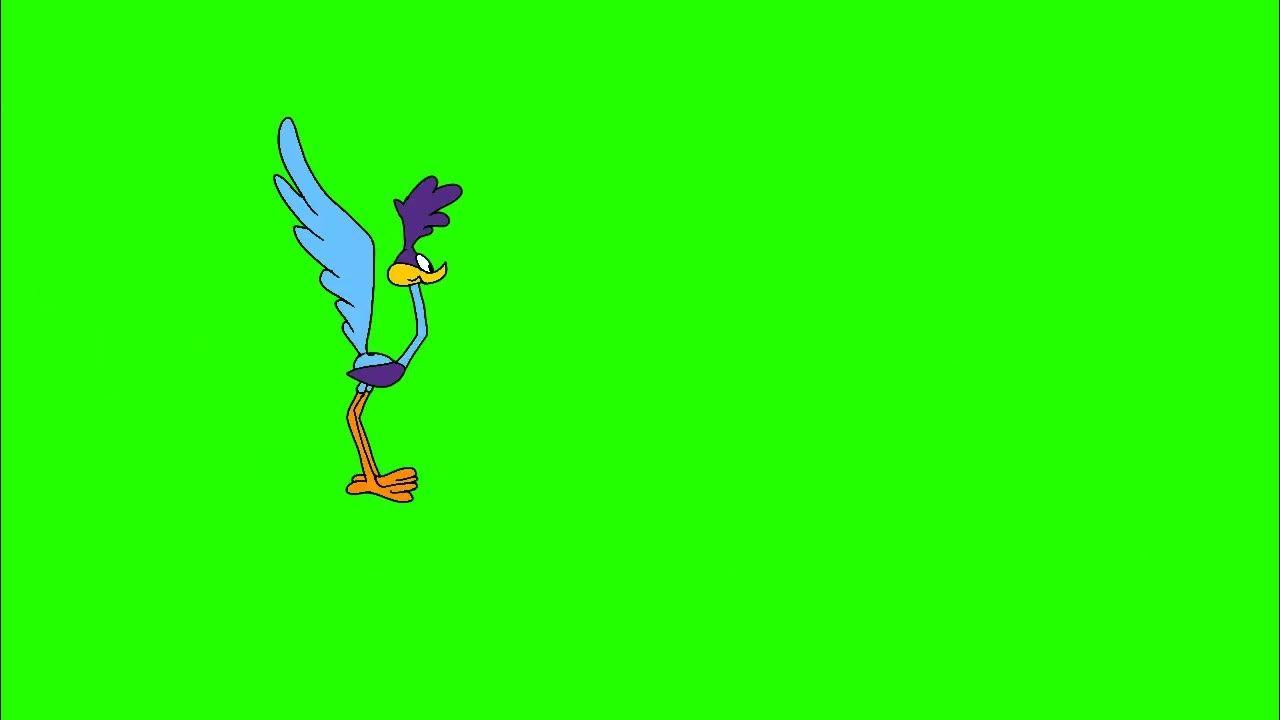 Roadrunner animation - YouTube