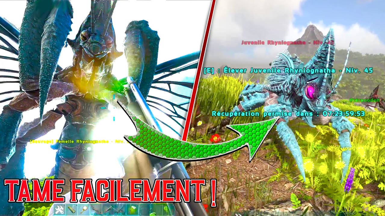 COMMENT TAME FACILEMENT LE RHYNIOGNATHA SUR ARK !! (+ASTUCES ET INFOS ...