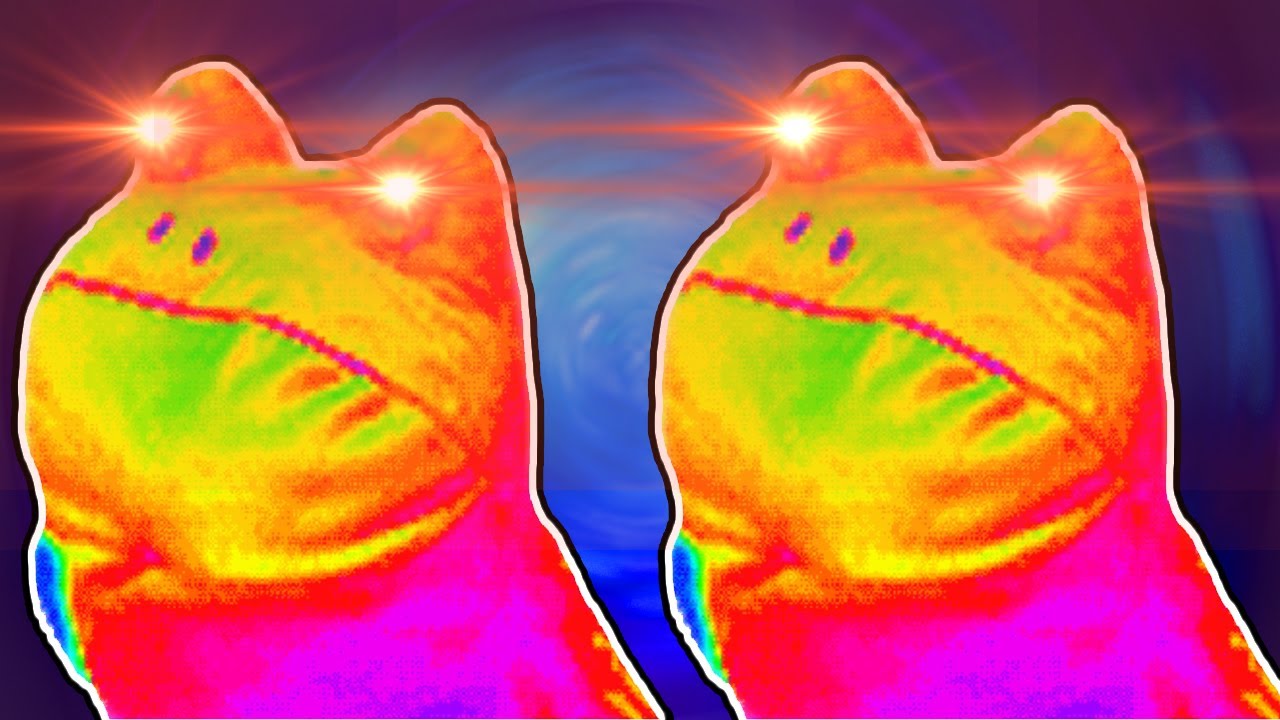 Rainbow frog meme - YouTube