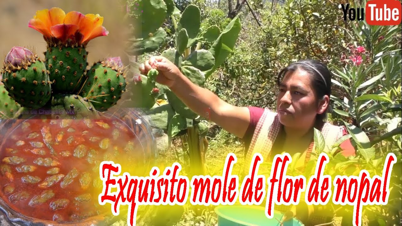 De esta manera preparé un exquisito mole de flor de nopal - YouTube