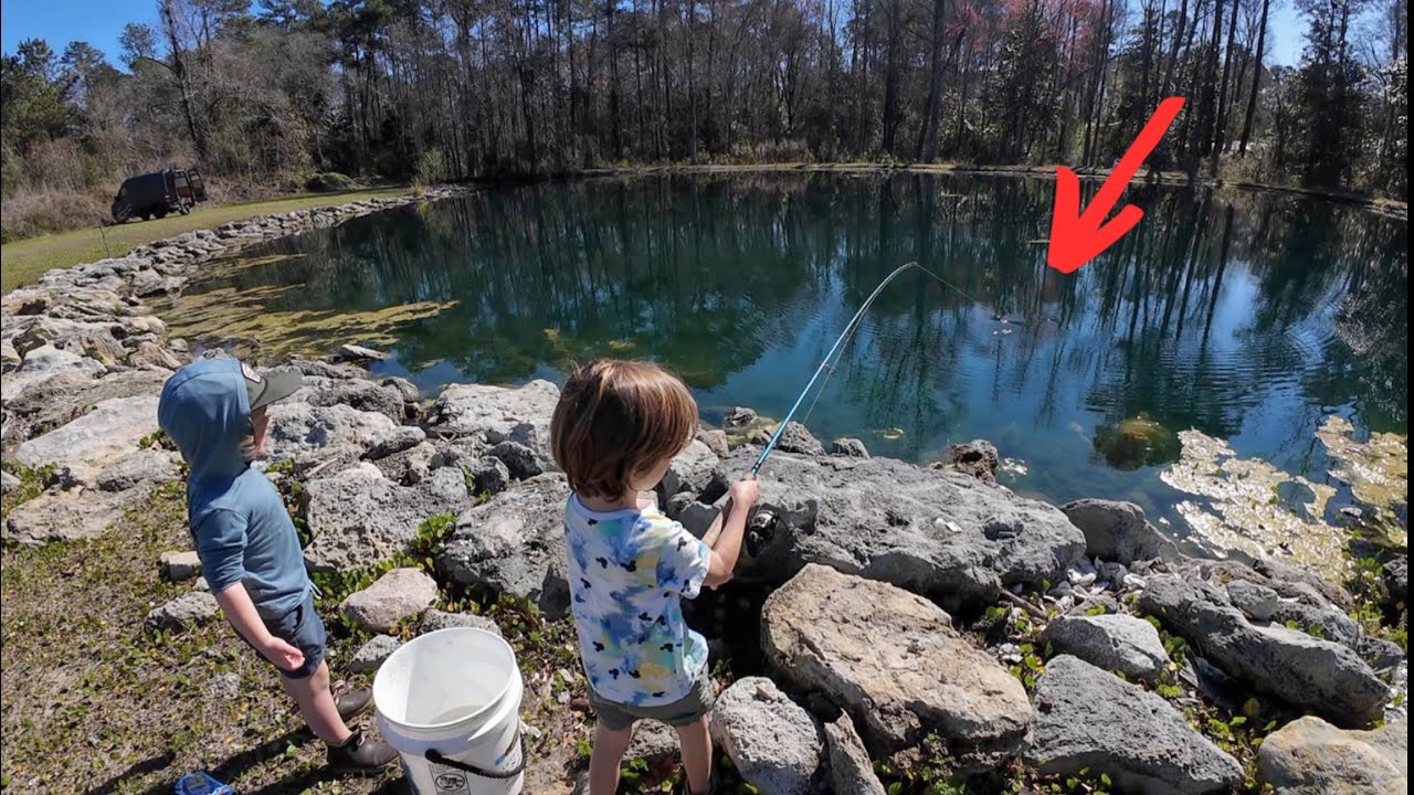 Pond Fishing With The Kids (Live Crickets & Minnows) - YouTube