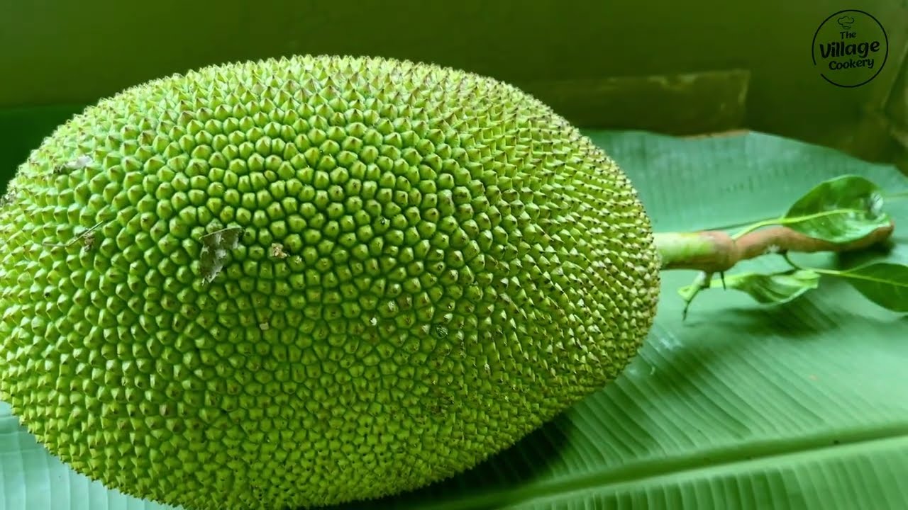 Kos Ata Kalu Pol curry | කොස් ඇට කලුපොල් මාළුව | The Village Cookery ...