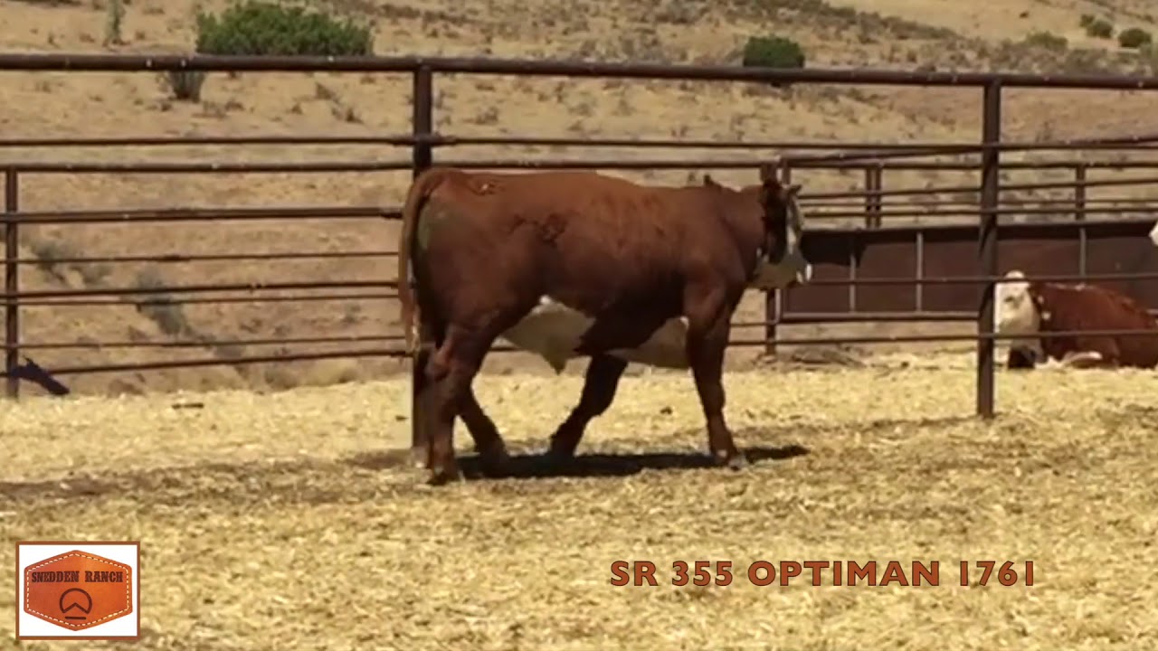 SR 355 OPTIMAN 1761 - YouTube