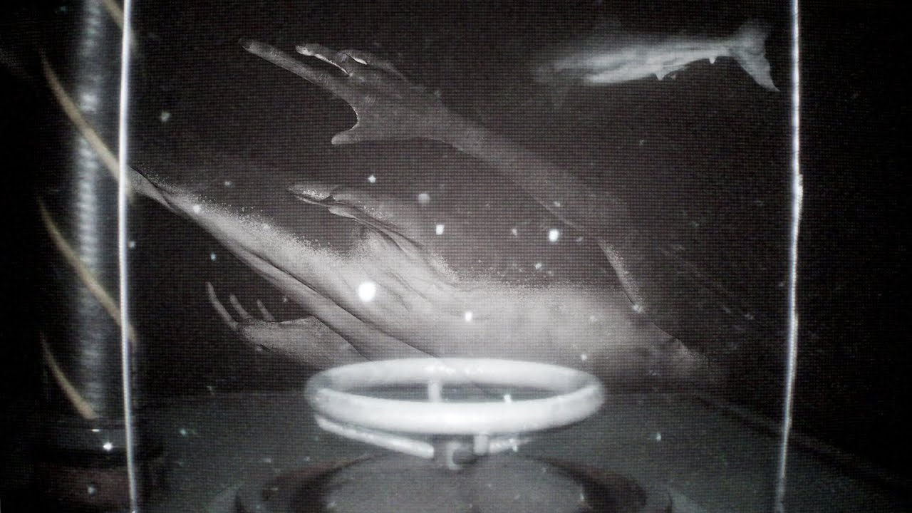 This TERRIFYING Deep Sea Horror Game is TOO INTENSE For Me... - YouTube