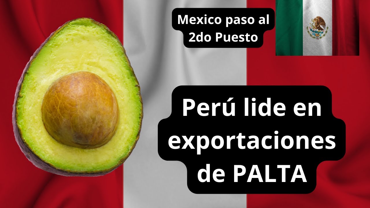 Perú desplaza a México como mayor exportador de Palta en China Europa y ...