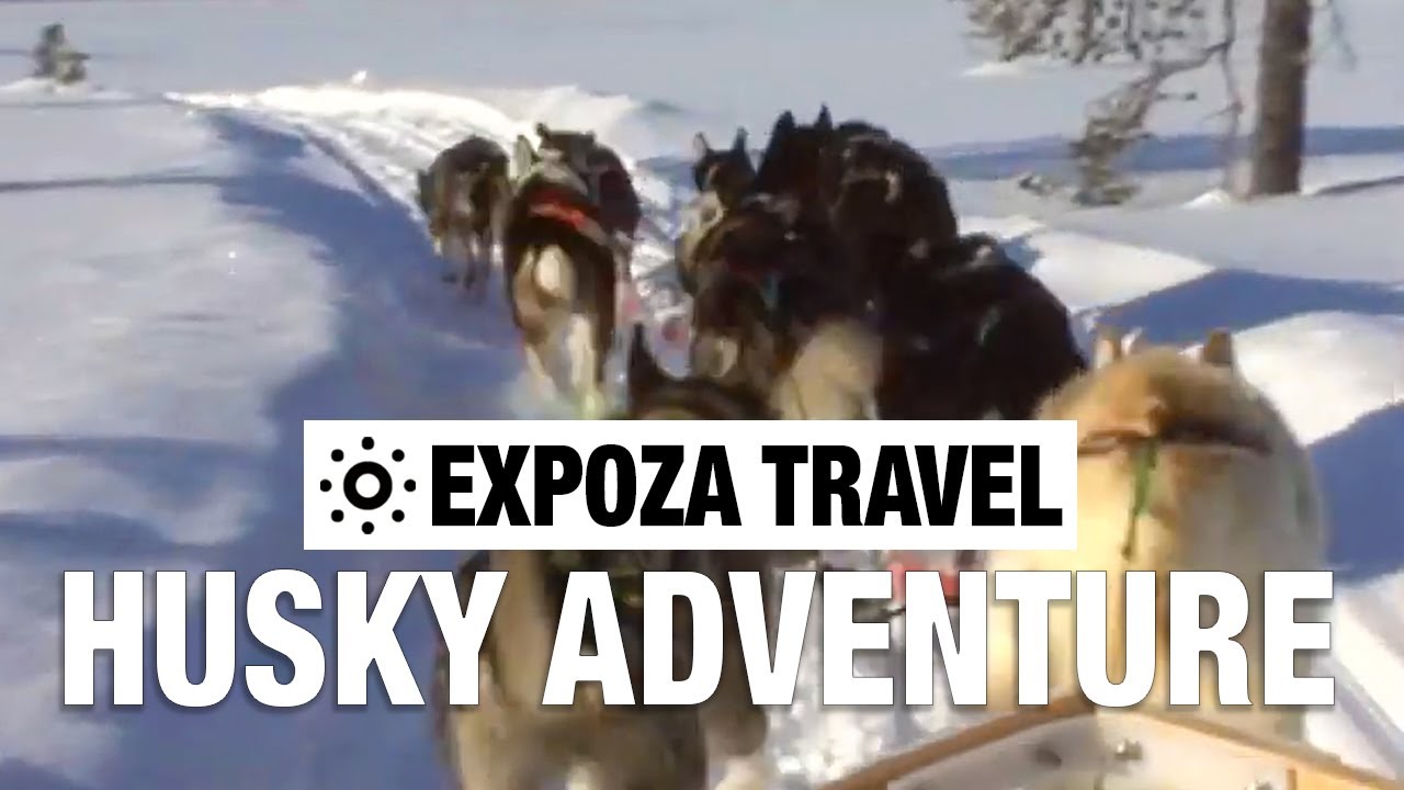 Husky Adventure Vacation Travel Video Guide - YouTube