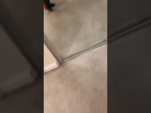 Part two of my yoga pants fashion show and fart talks 😂