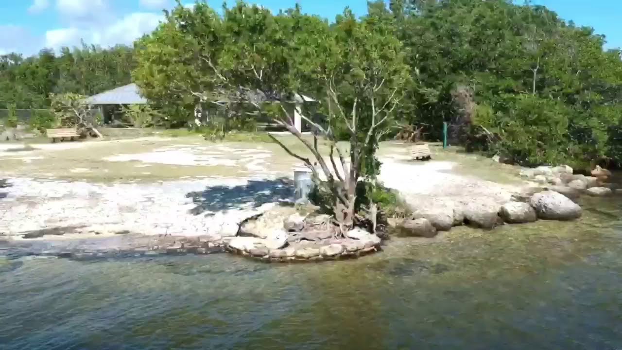 Deering Point Miami Kayaking and Stand Up Paddle Rentals - YouTube