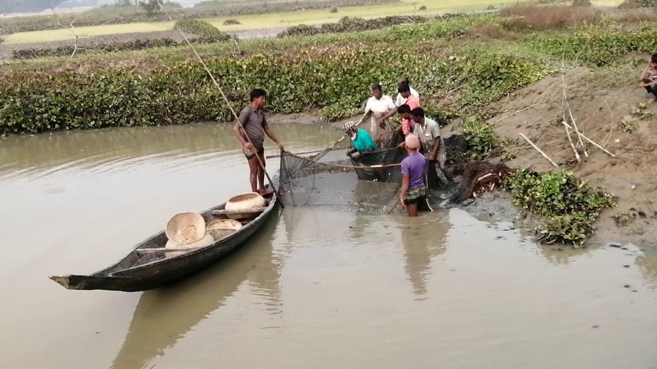 Amazing deshi fishing - YouTube