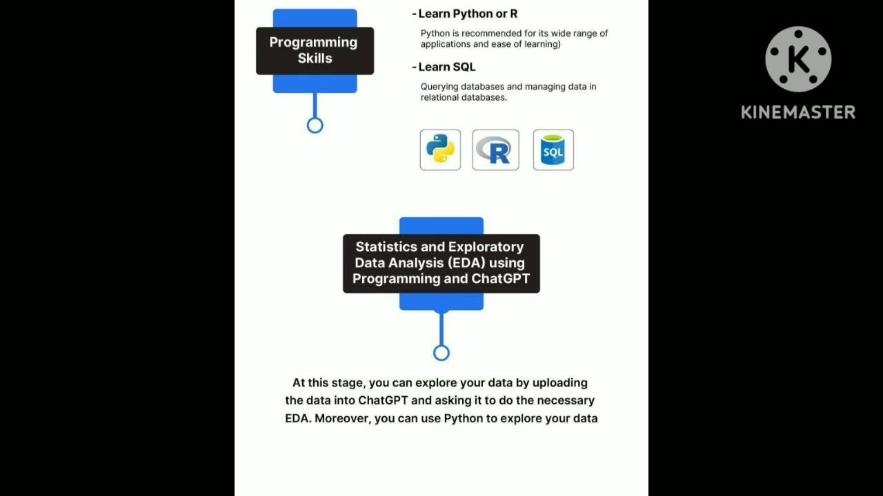 Complete Data Scientist Learning Path 2025 | From Beginner to Expert! - YouTube