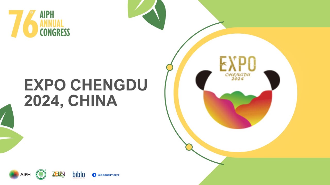 Expo Chengdu 2024 China | Progress Report | Autumn 2024 - YouTube