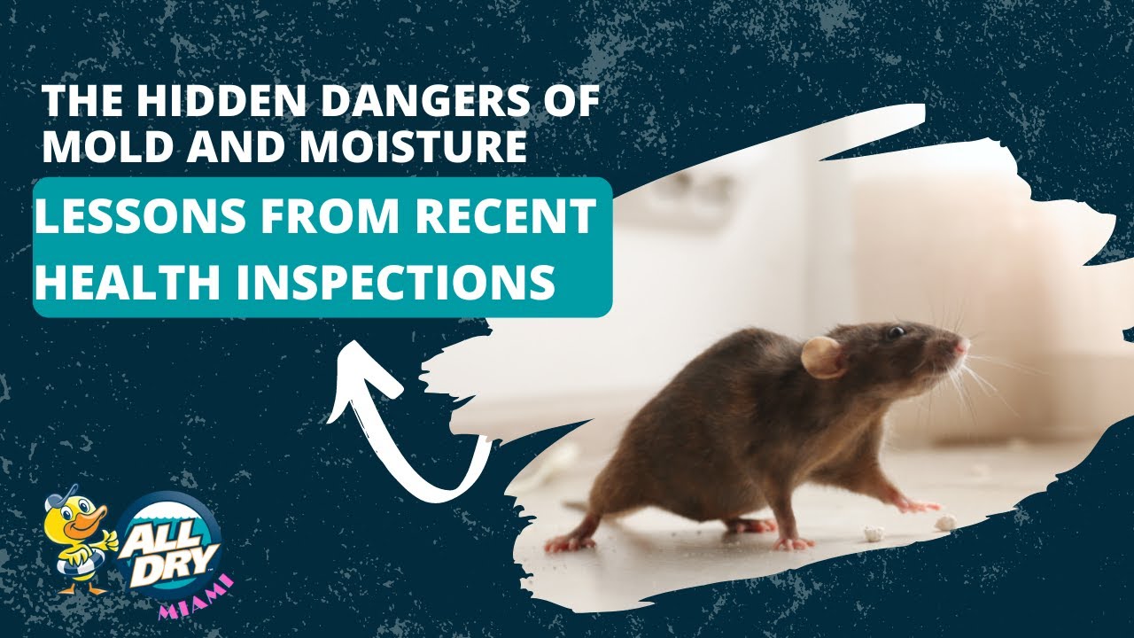 Lessons from recent south Florida health inspections - YouTube