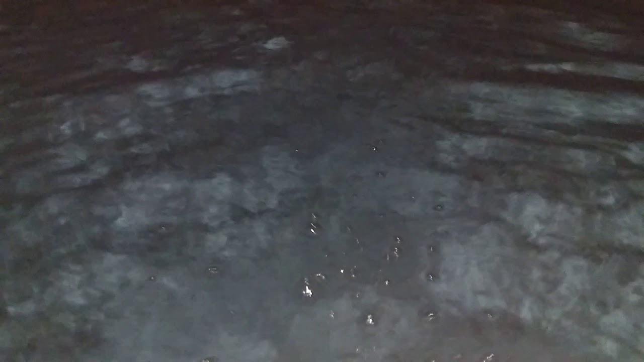 pool sounds - YouTube