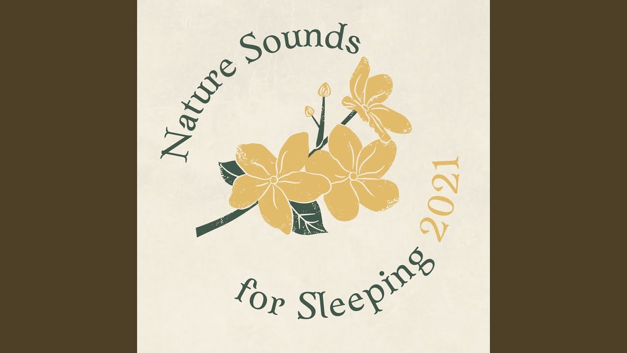 Japanese Cicada Sound - YouTube