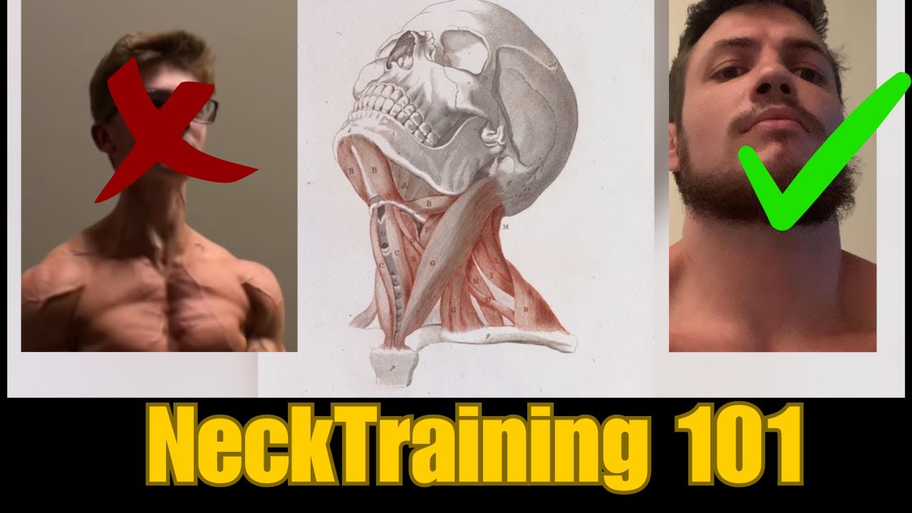 How to Build a Thick and Strong Neck! "Science based Hypertrophy" - YouTube