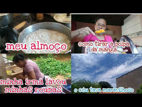 VLOG: ROTINA E DICA DE COMO TIRAR A POLPA DA MANGA...