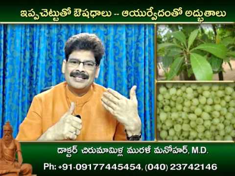 Madhuka Tree - Traditional Ayurveda Remedies in Telugu by Dr. Murali ...