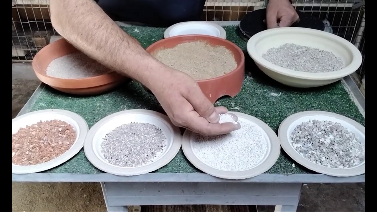 4 PARTE La importancia de los nidales - YouTube