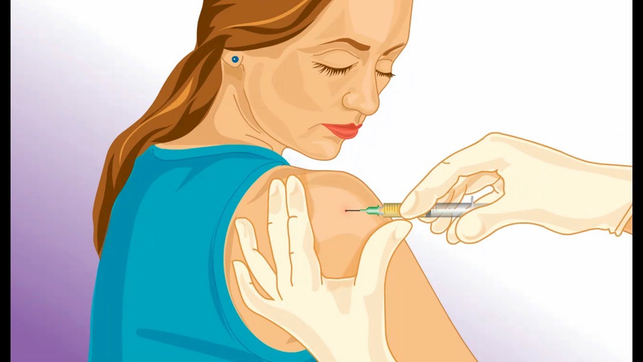 Developing immunological memory - YouTube