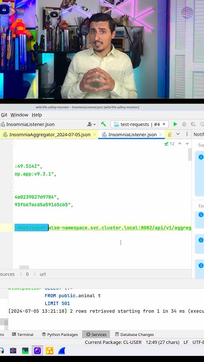 Domainnames have arrived! The containers are aware. #jesprotech #kotlin #code #inso #insomnia # ...