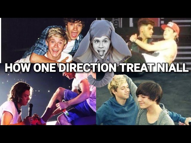 One Direction Niall Meme