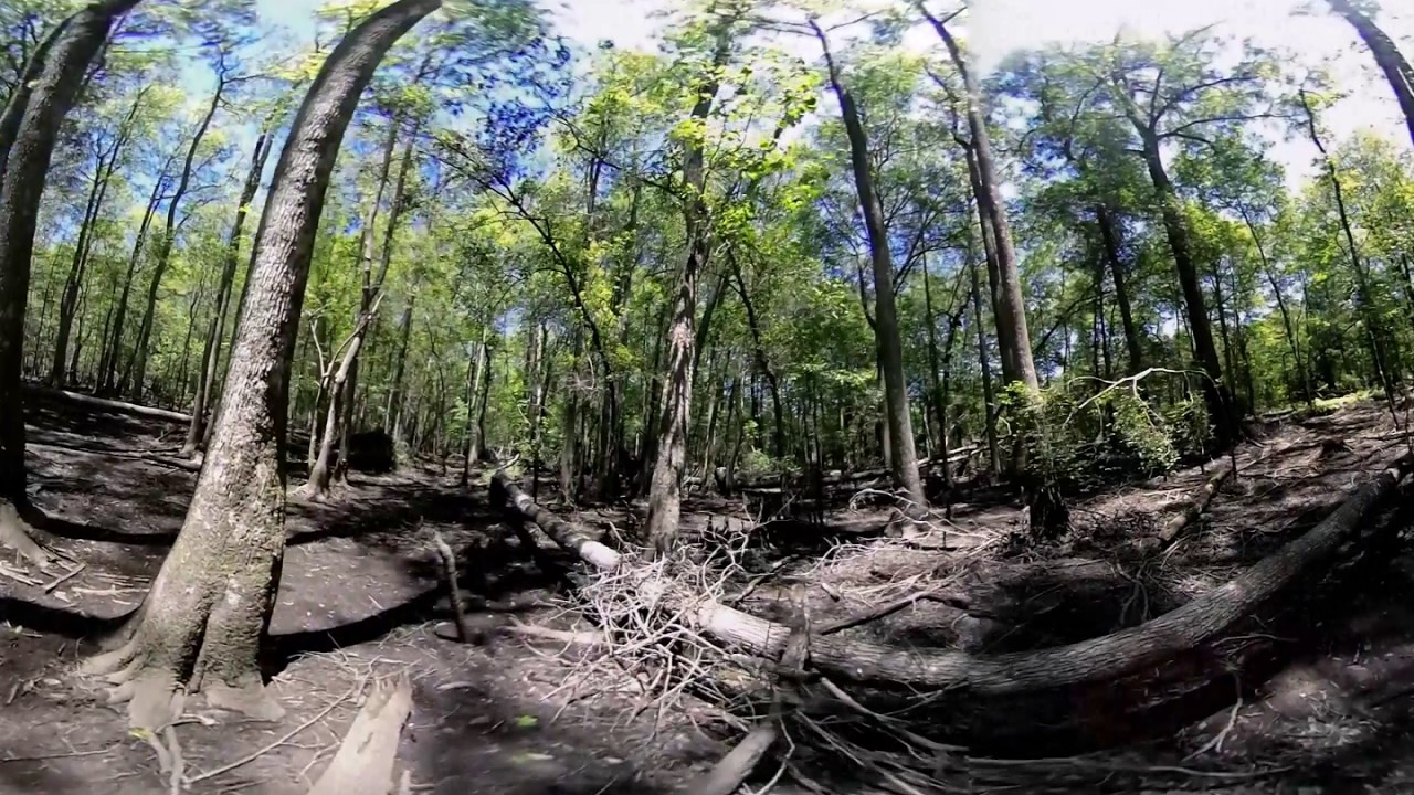 Lumber River washed out trail 3D - YouTube