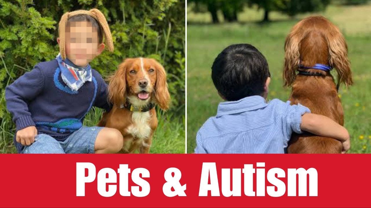 Companion Animals and Autism: A Bond ! - YouTube